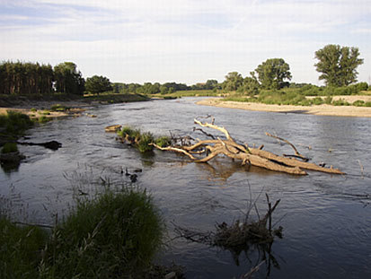 65E Vereinigte Mulde und Muldeauen - Natura 2000 - sachsen.de